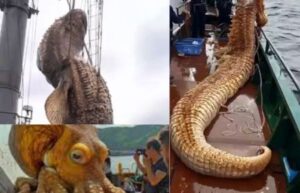 Sea Giant: Discovery of the Deep Ocean