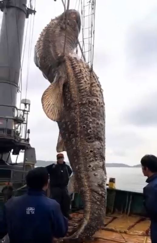 Sea Giant: Discovery of the Deep Ocean - MHNRC